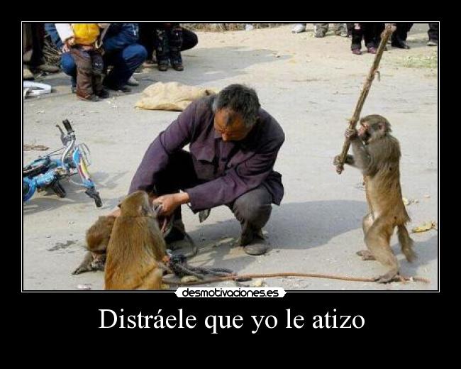 Imágenes y Carteles de DISTRAER | Desmotivaciones